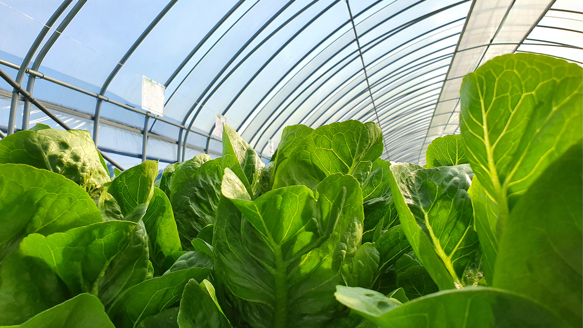 What is Sensible Heat Ratio and Why is it Important?